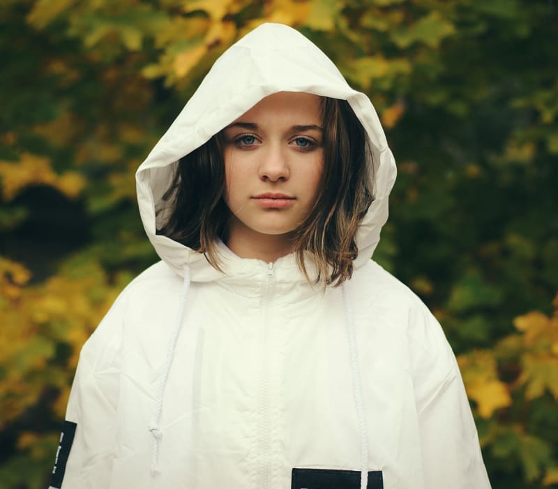 Green Nature Spring - Joe Cook Attorney In Chicago